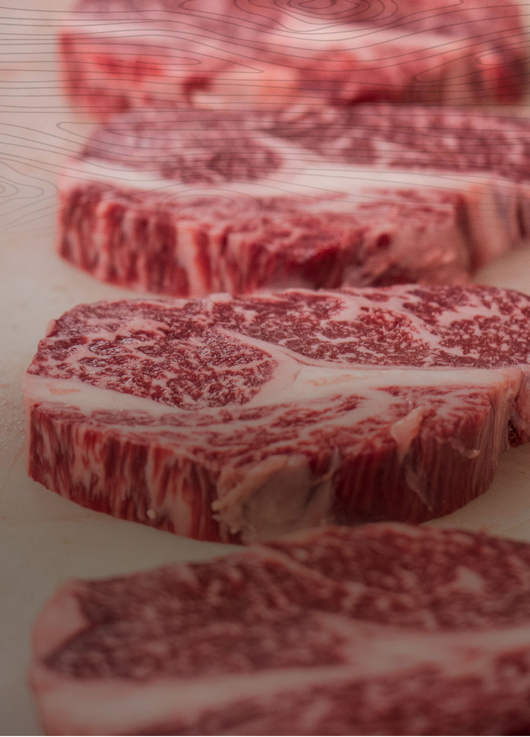 In The News – Karoo Wagyu